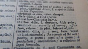 10 Latin words that fundraisers use every day - UK Fundraising