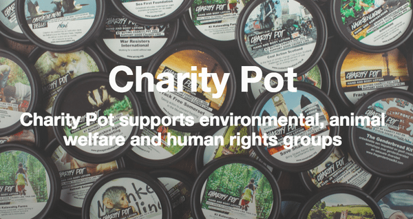 LUSH Charity Pot funding sees UK causes receive £1.6m | UK Fundraising
