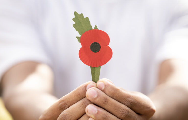 Poppy goes plastic-free in biggest change for decades - UK Fundraising